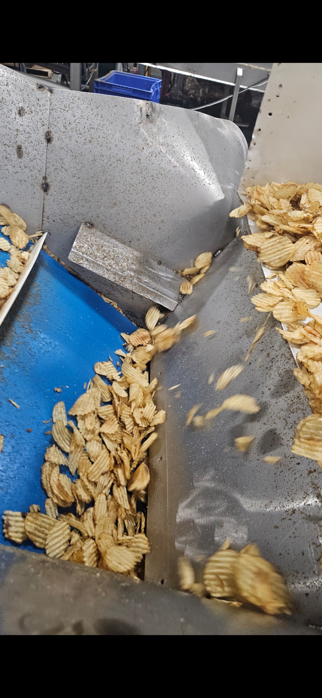 Omniscient - SnackCo